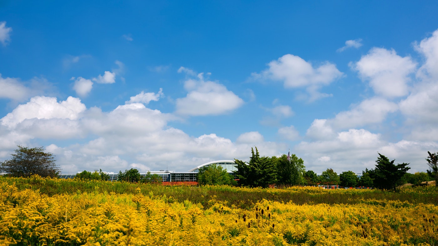 MillerKnoll Brand Collective | MillerKnoll