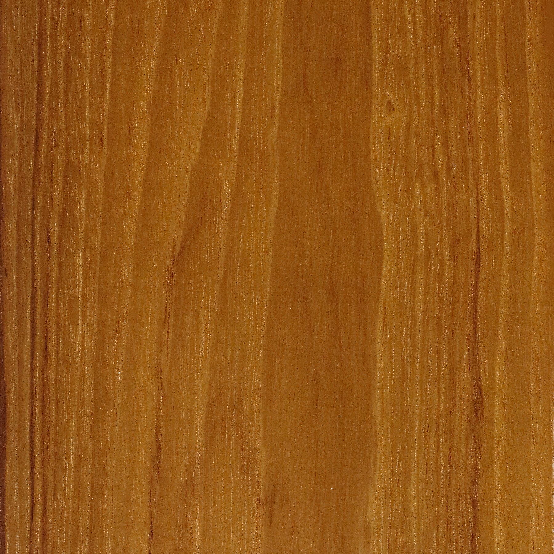 Teak - Premium Natural Veneer - Wood & Veneer - Materials - Herman Miller