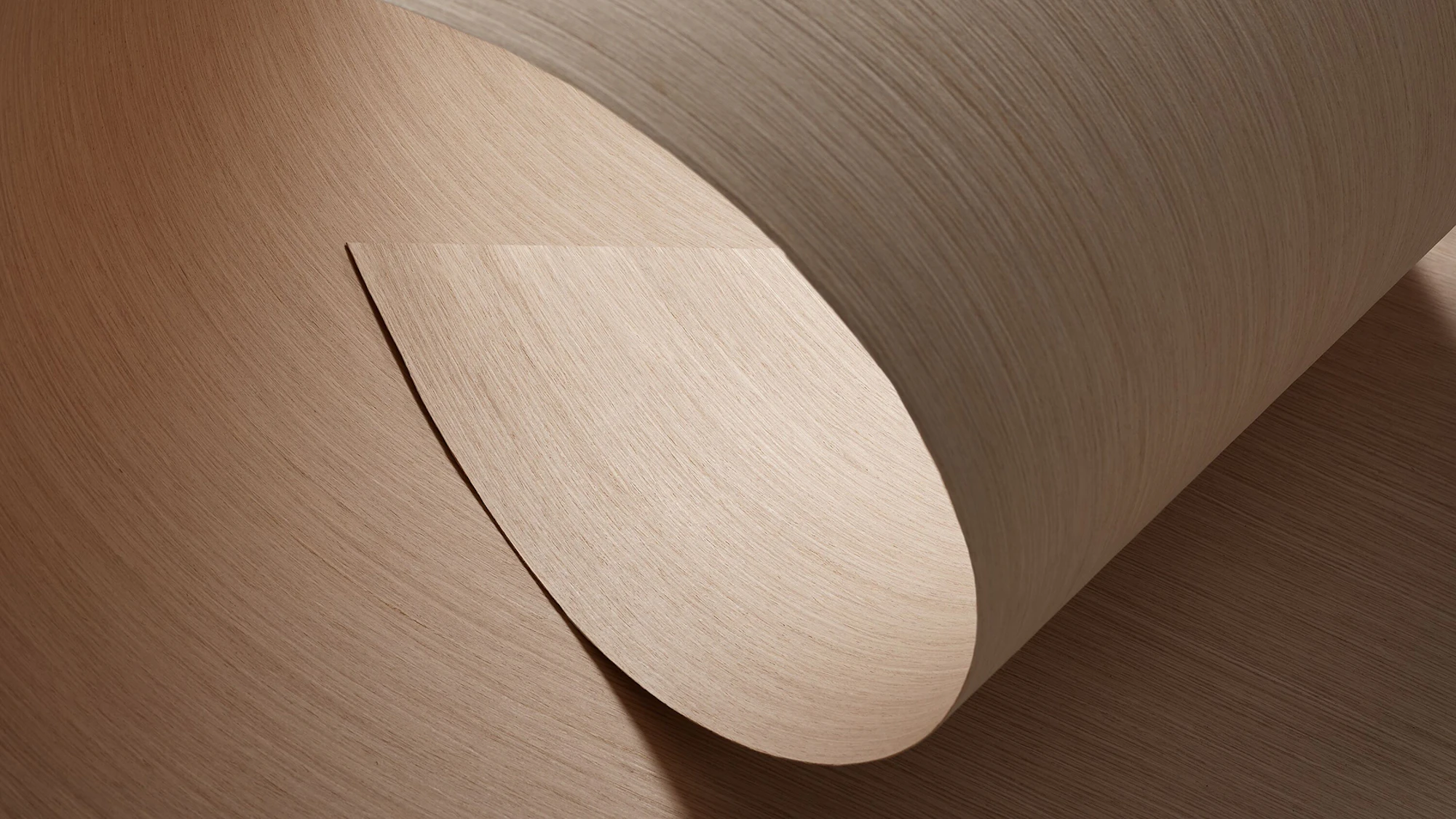 MillerKnoll Central Palette | MillerKnoll