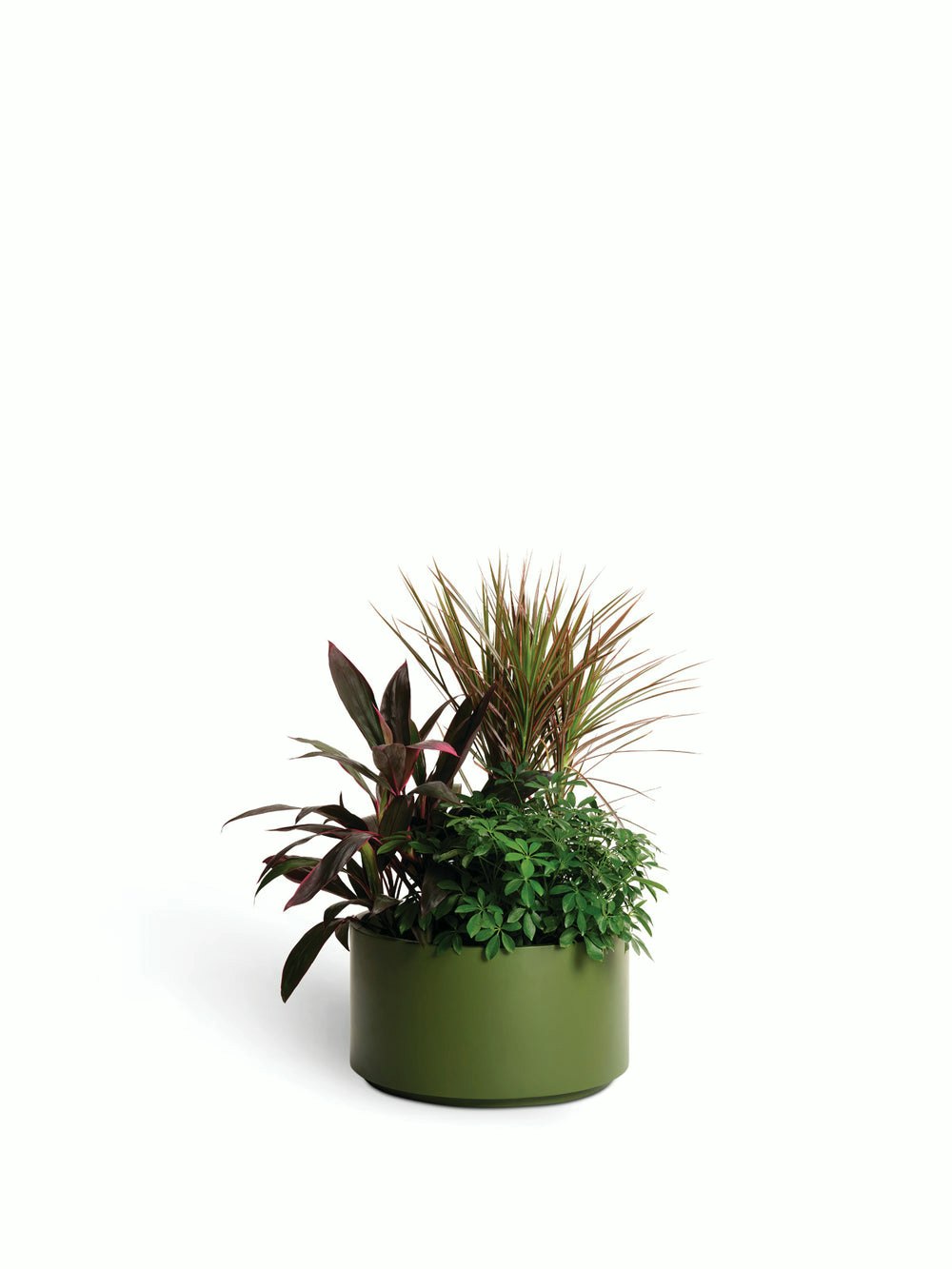 Modern Indoor Planters + Pots – Design Within Reach