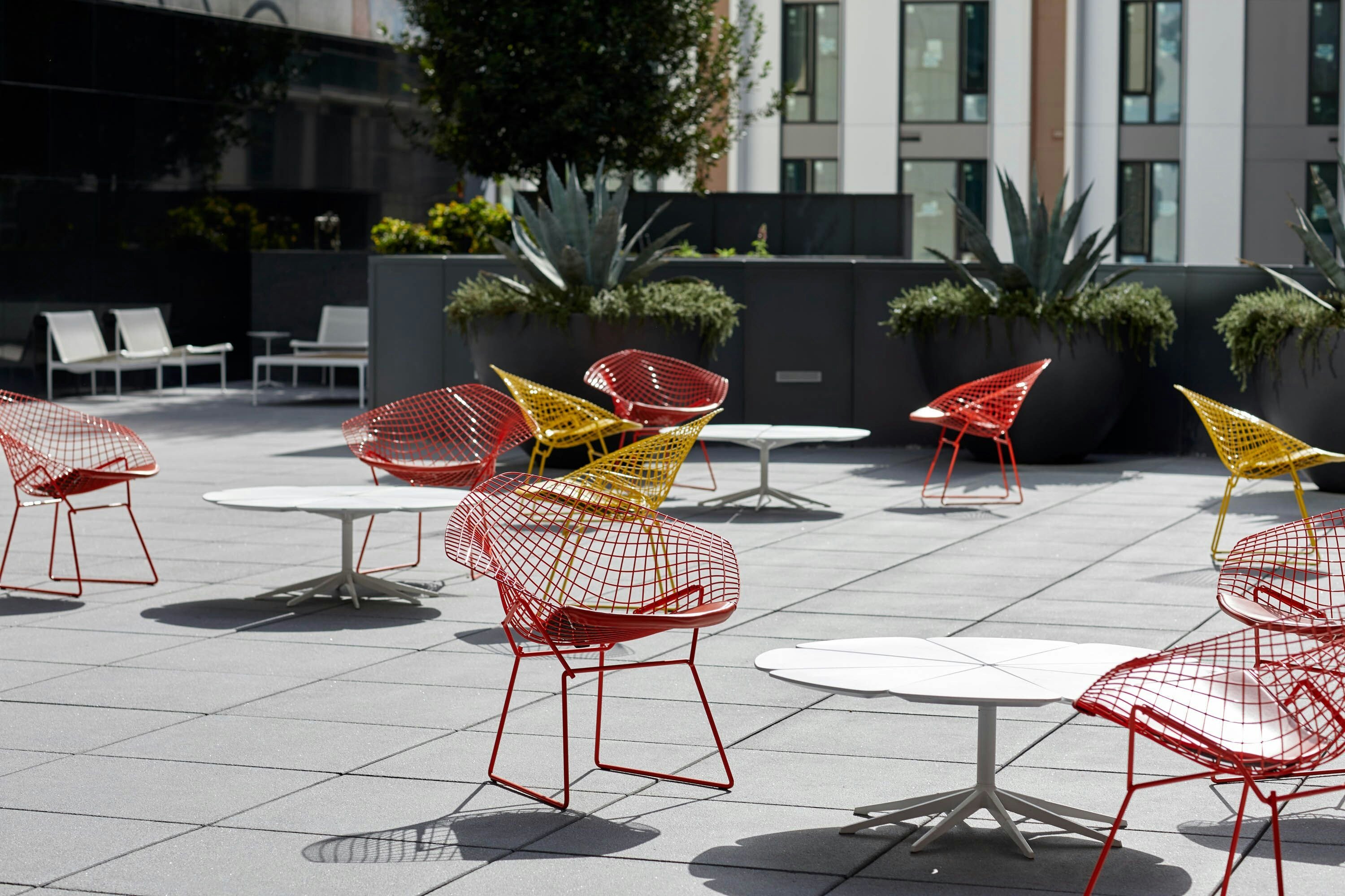 Petal® Coffee Table - Original Design | Knoll