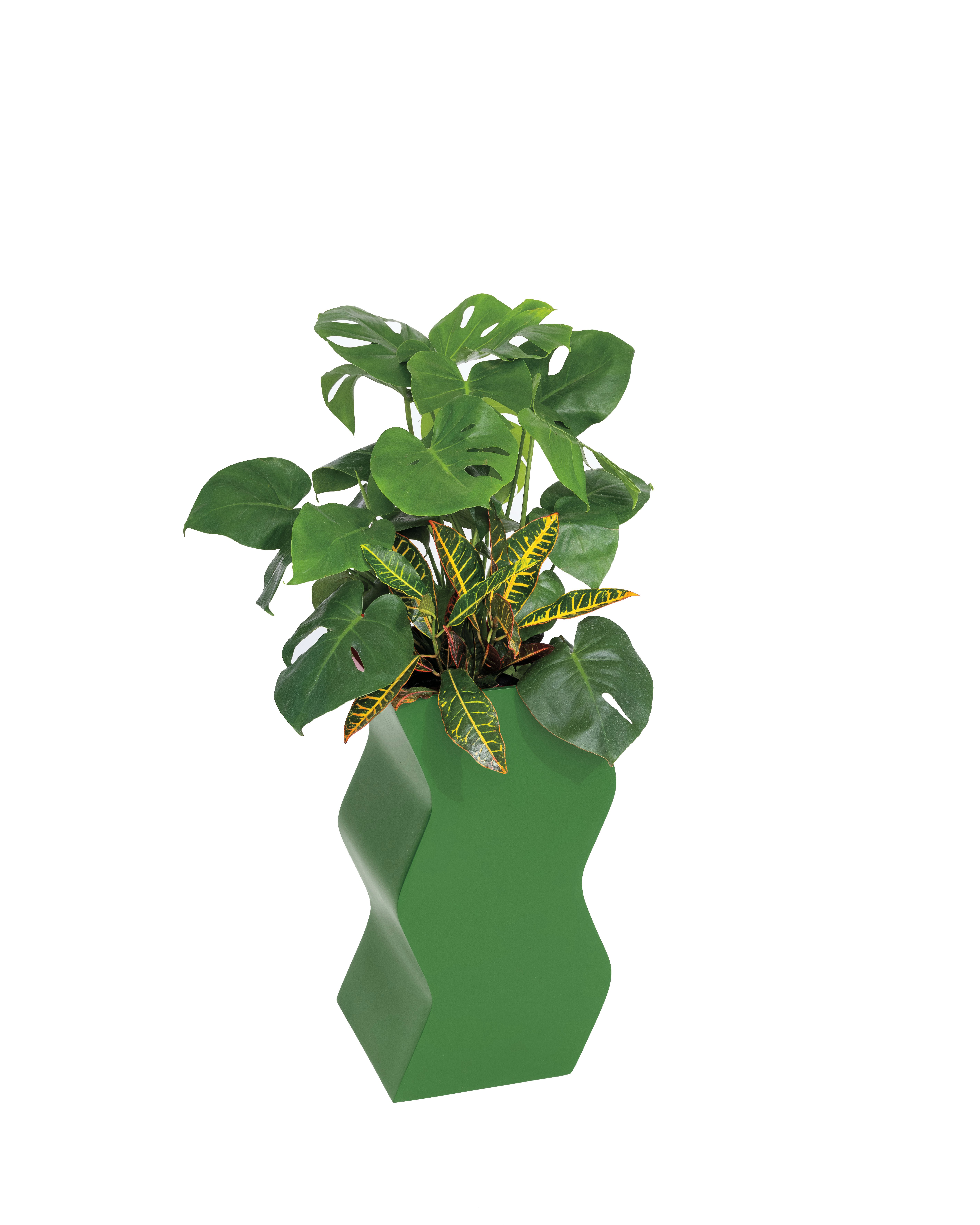 Modern Planters + Pots – Design Within Reach