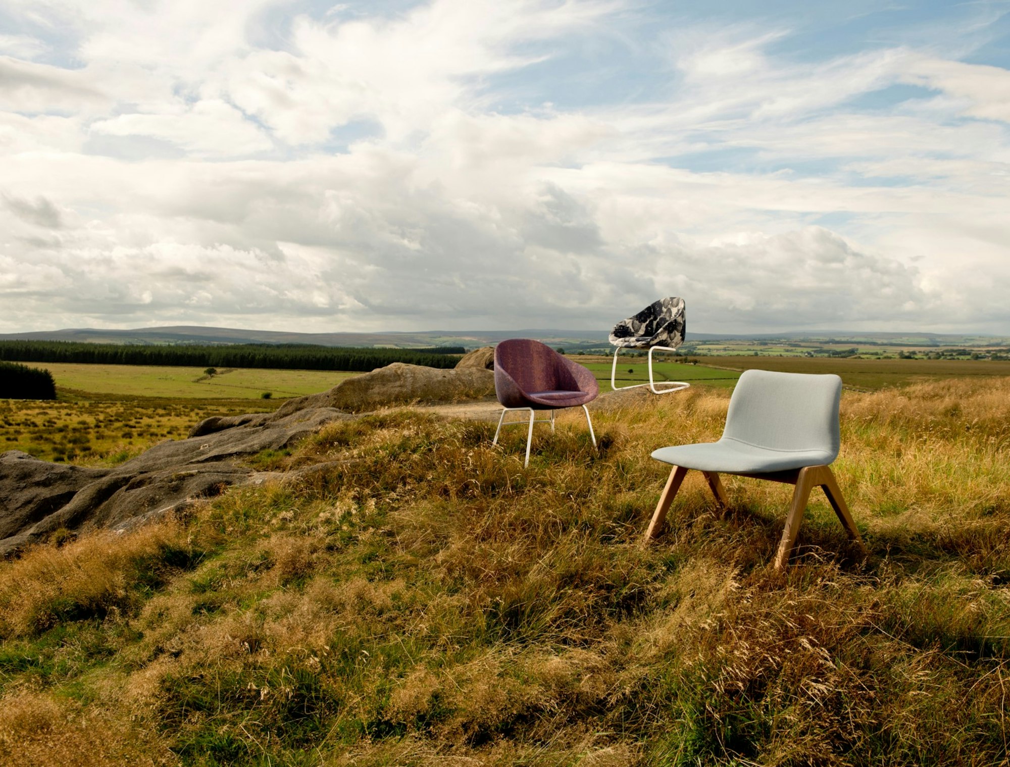 MillerKnoll Brand Collective | MillerKnoll