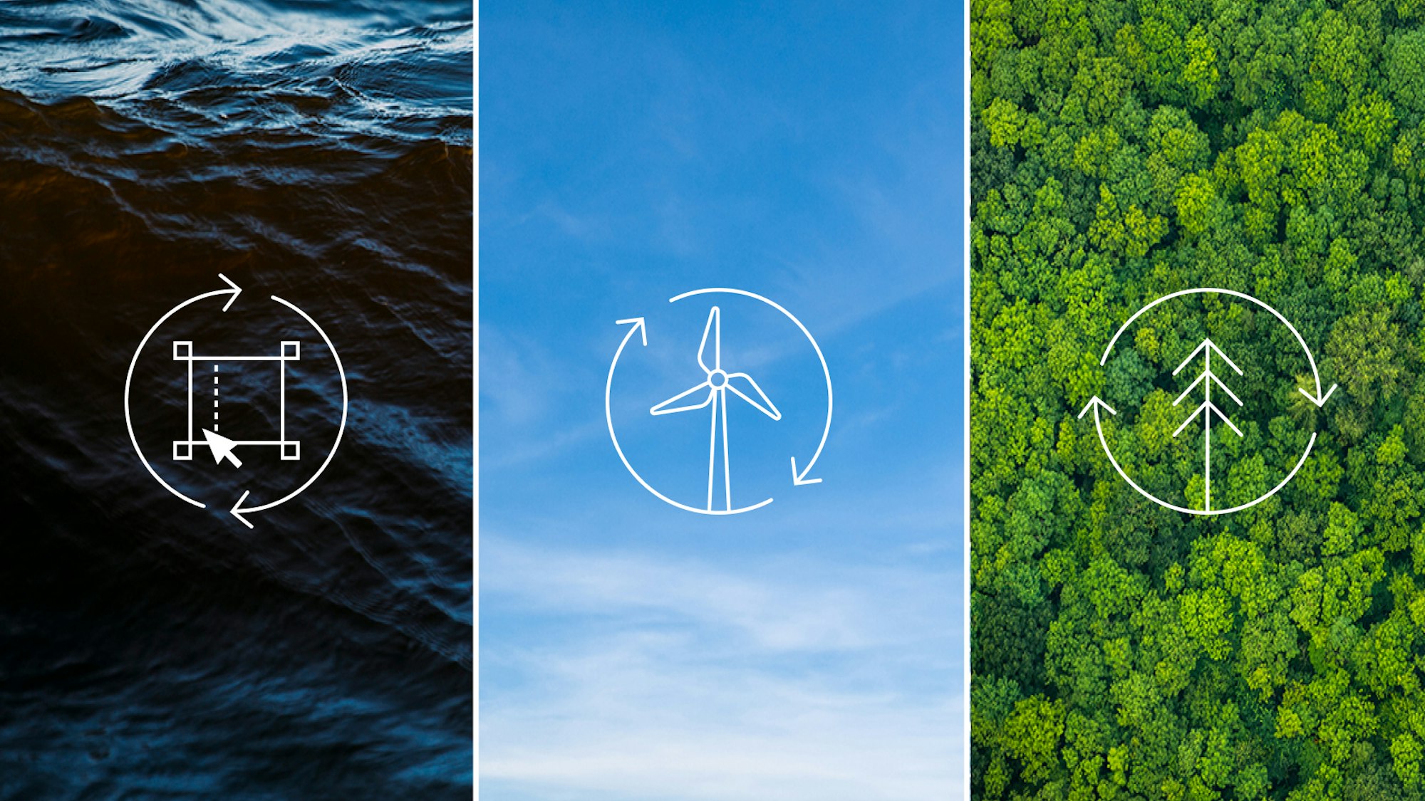 MillerKnoll Brand Collective | MillerKnoll