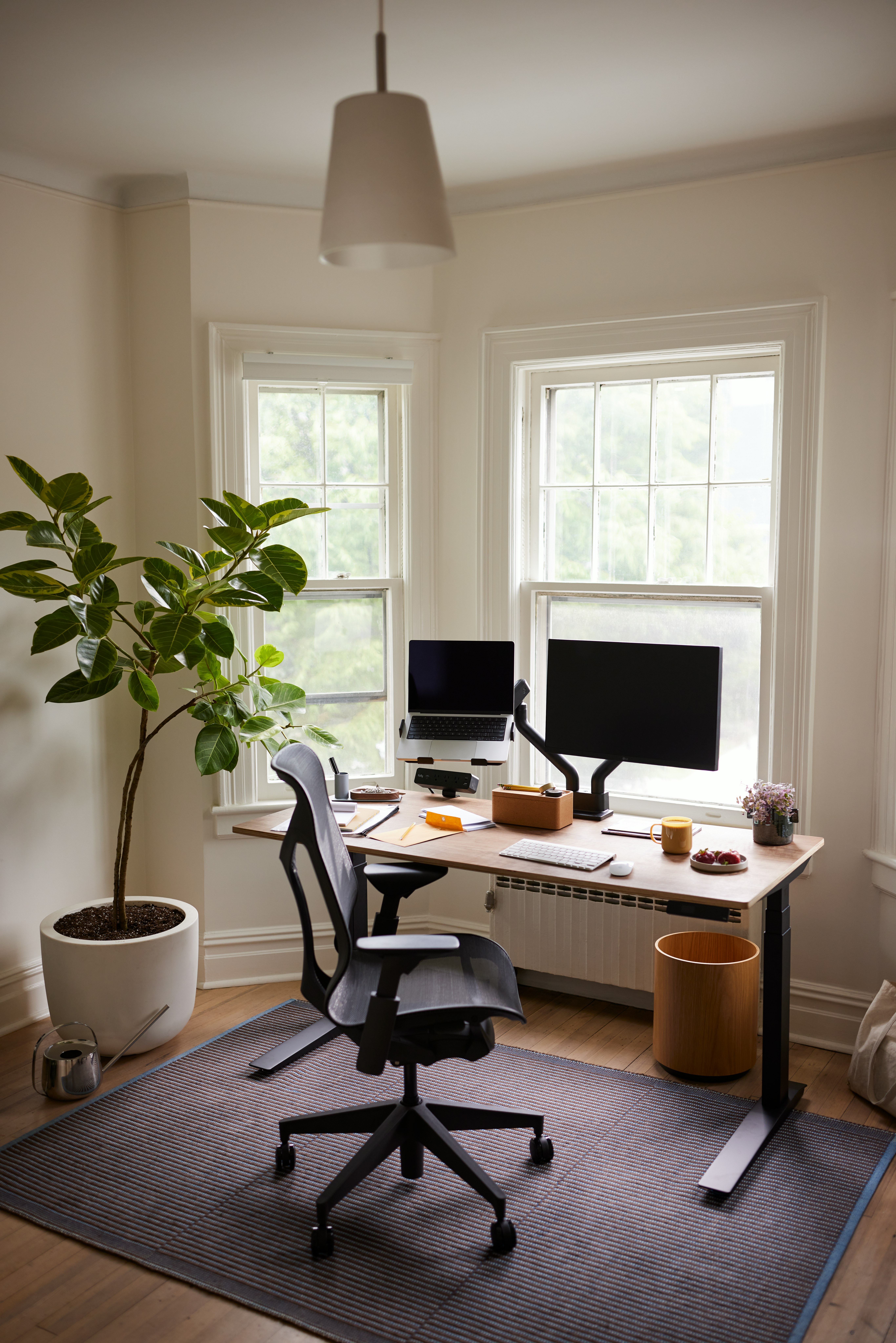 Jarvis Laminate Standing Desk – Design Within Reach