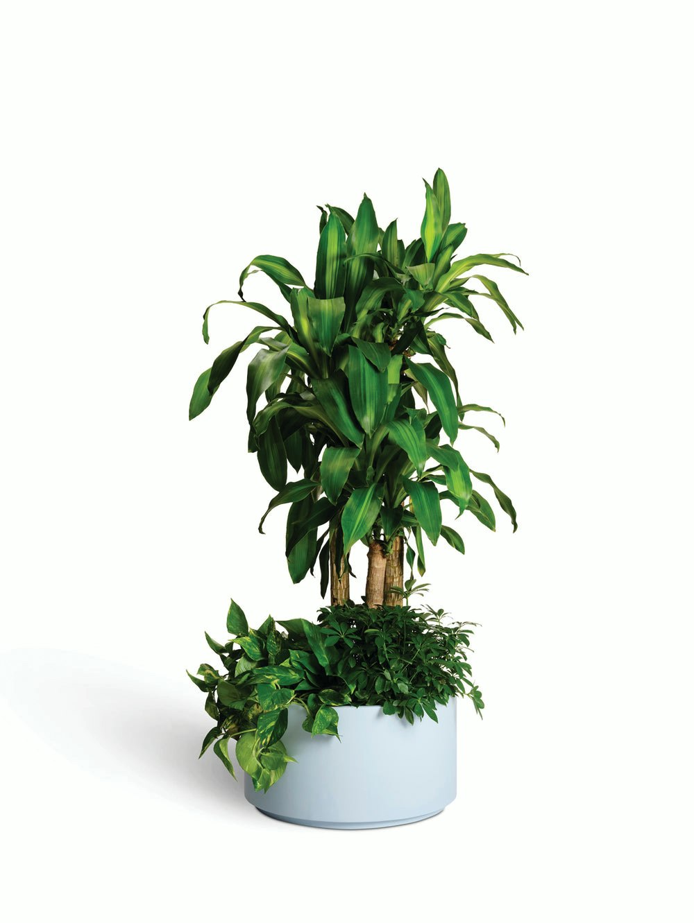 Modern Planters + Pots – Design Within Reach