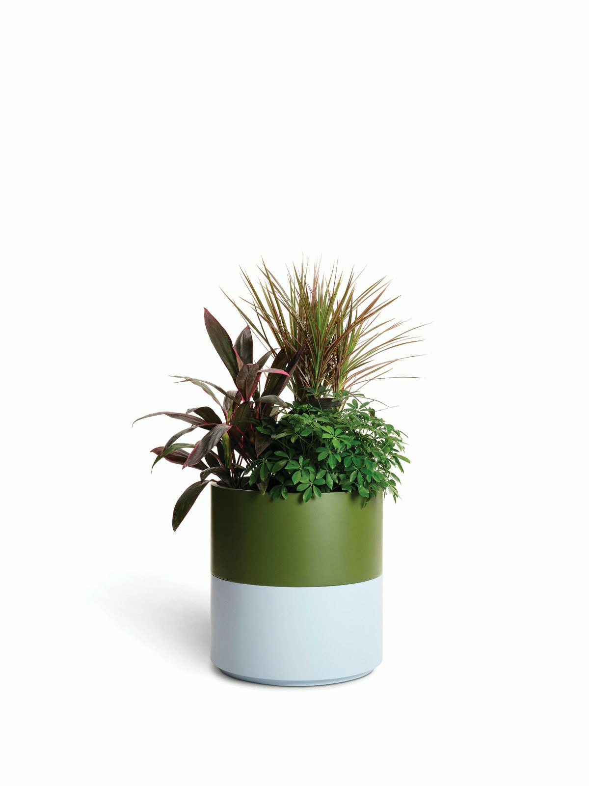 Modern Planters + Pots – Design Within Reach
