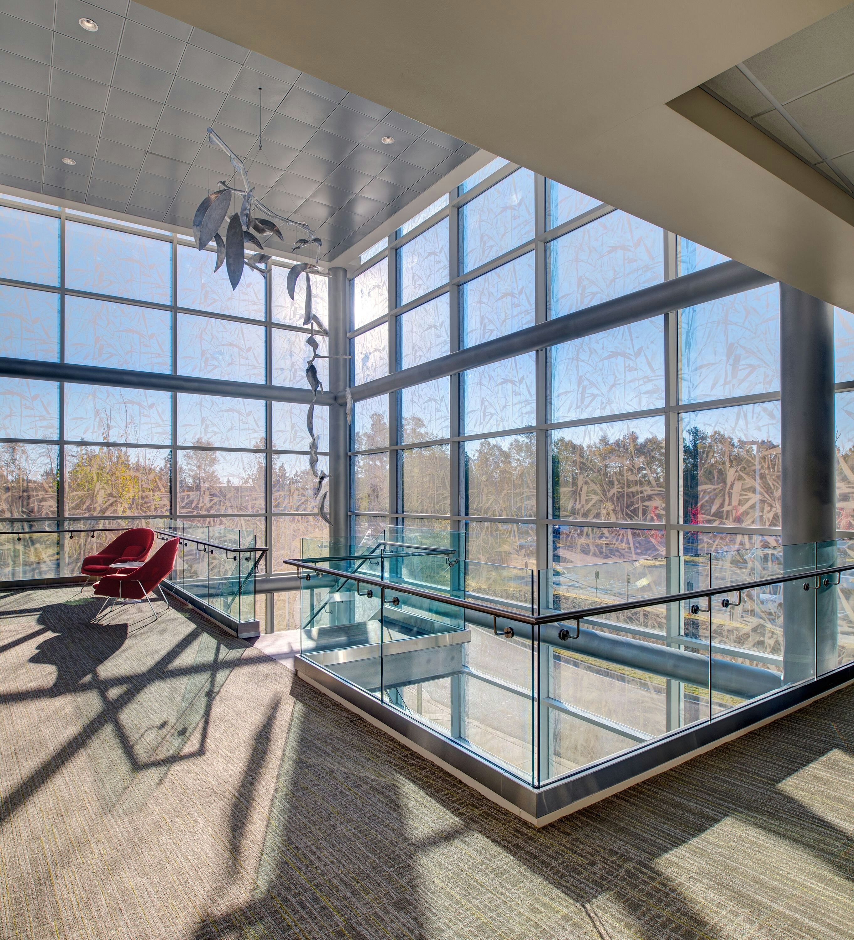 Womb™ Chair - Original Design | Knoll