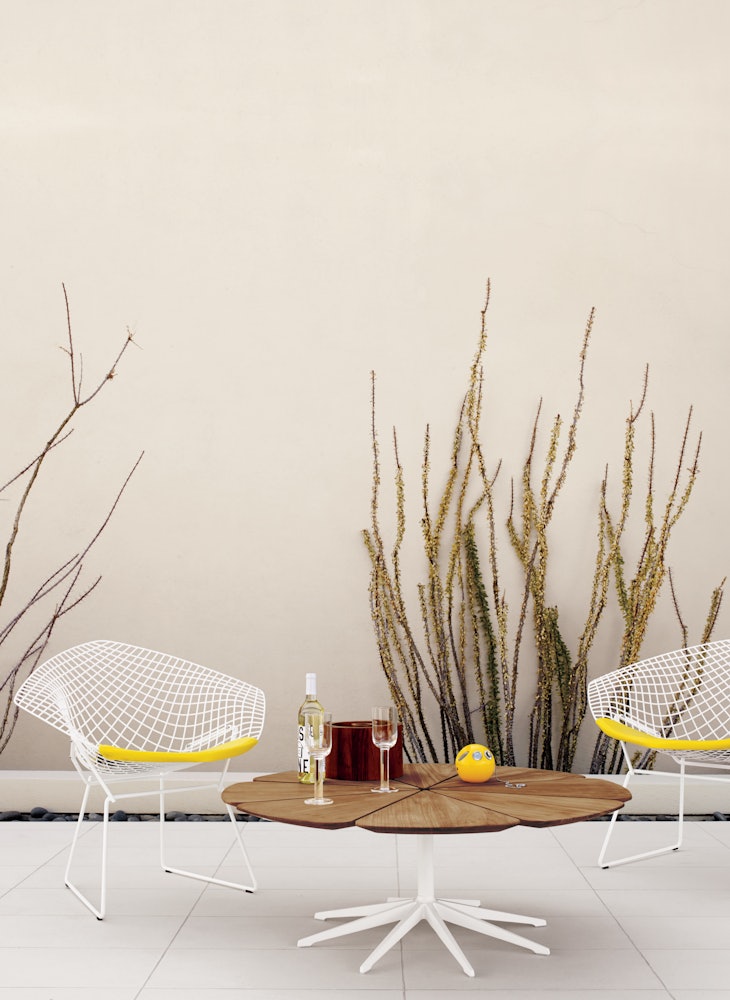 Petal Coffee Table – Design Within Reach Petal Coffee Table – Design Within Reach