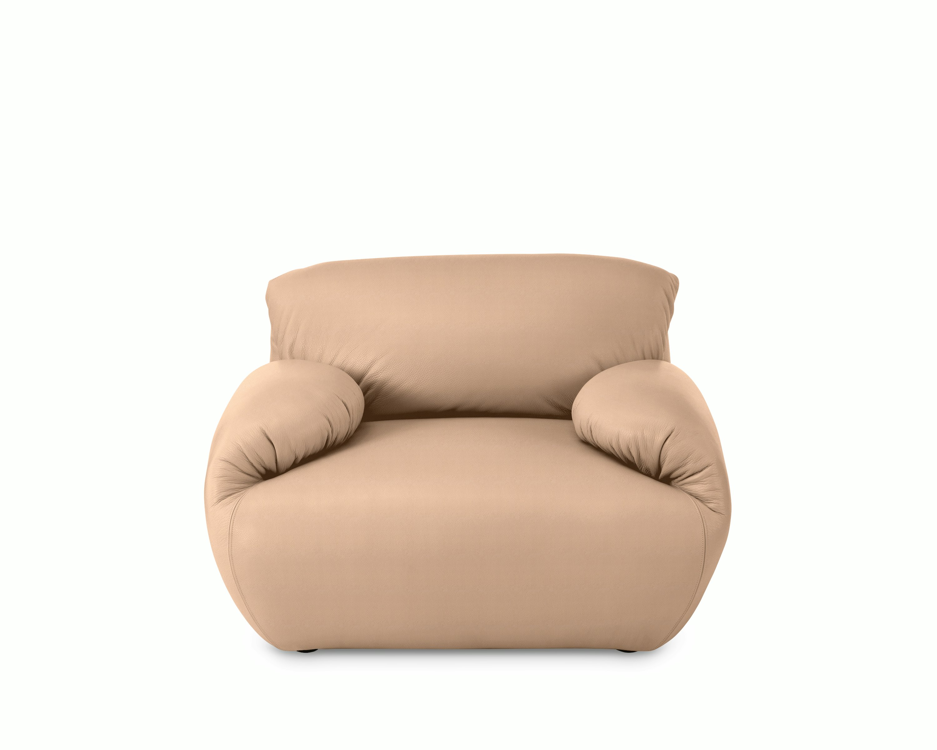 Lounge Chairs, Armchairs + Accent Chairs – Design Within Reach